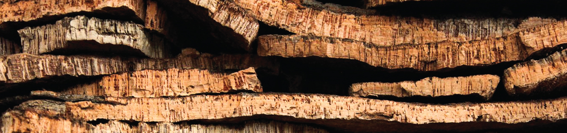 WIP Technologies - Cutting-Edge Innovation for Watersports Performance ...